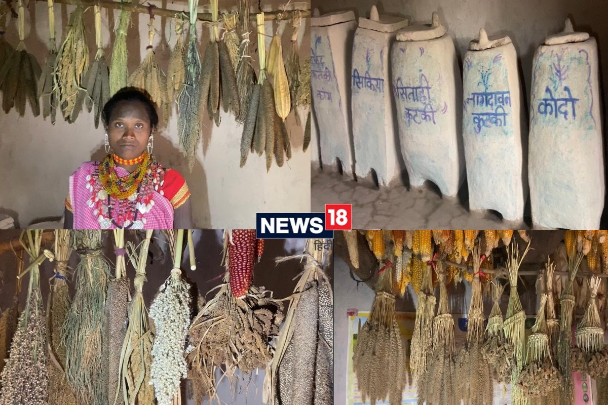 Success Story : लहरी बाई के जुनून की कहानी, एक कमरे के झोपड़े में बनाया बीज बैंक, यूएनओ तक ...