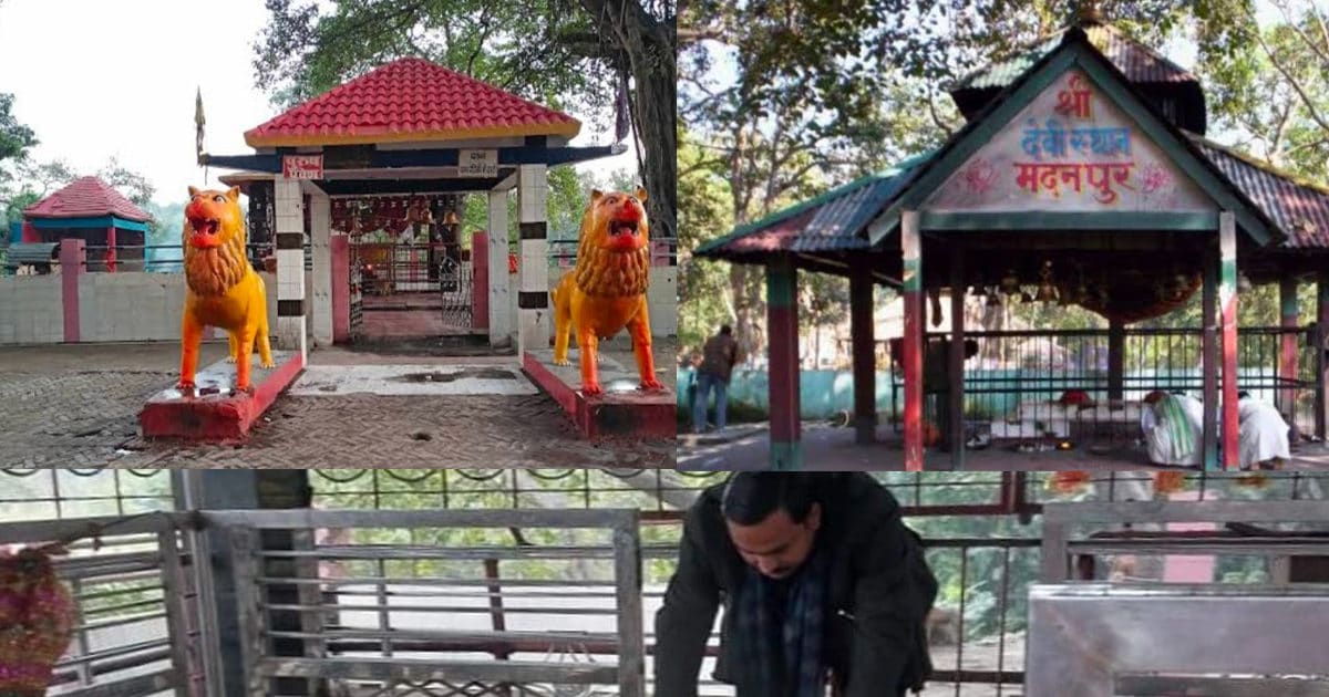 PHOTOS: रहसू गुरु बाघों को बना लेते थे 'बैल' और सापों को रस्सी, यहां ...