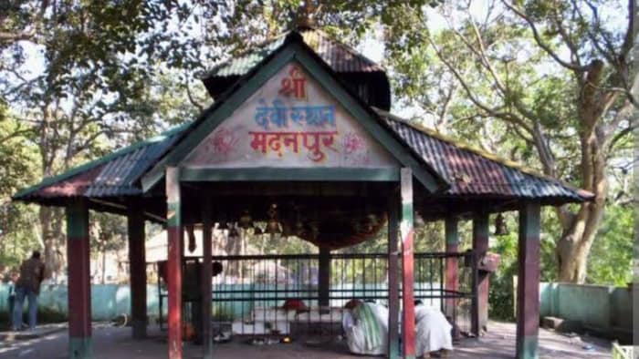 PHOTOS: रहसू गुरु बाघों को बना लेते थे 'बैल' और सापों को रस्सी, यहां ...