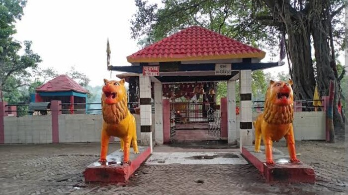 PHOTOS: रहसू गुरु बाघों को बना लेते थे 'बैल' और सापों को रस्सी, यहां ...