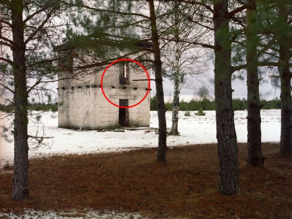 जंगल की अकेली इमारत में छिपा है स्नाइपर, छुपने की कला देख दंग रह जाएंगे ...