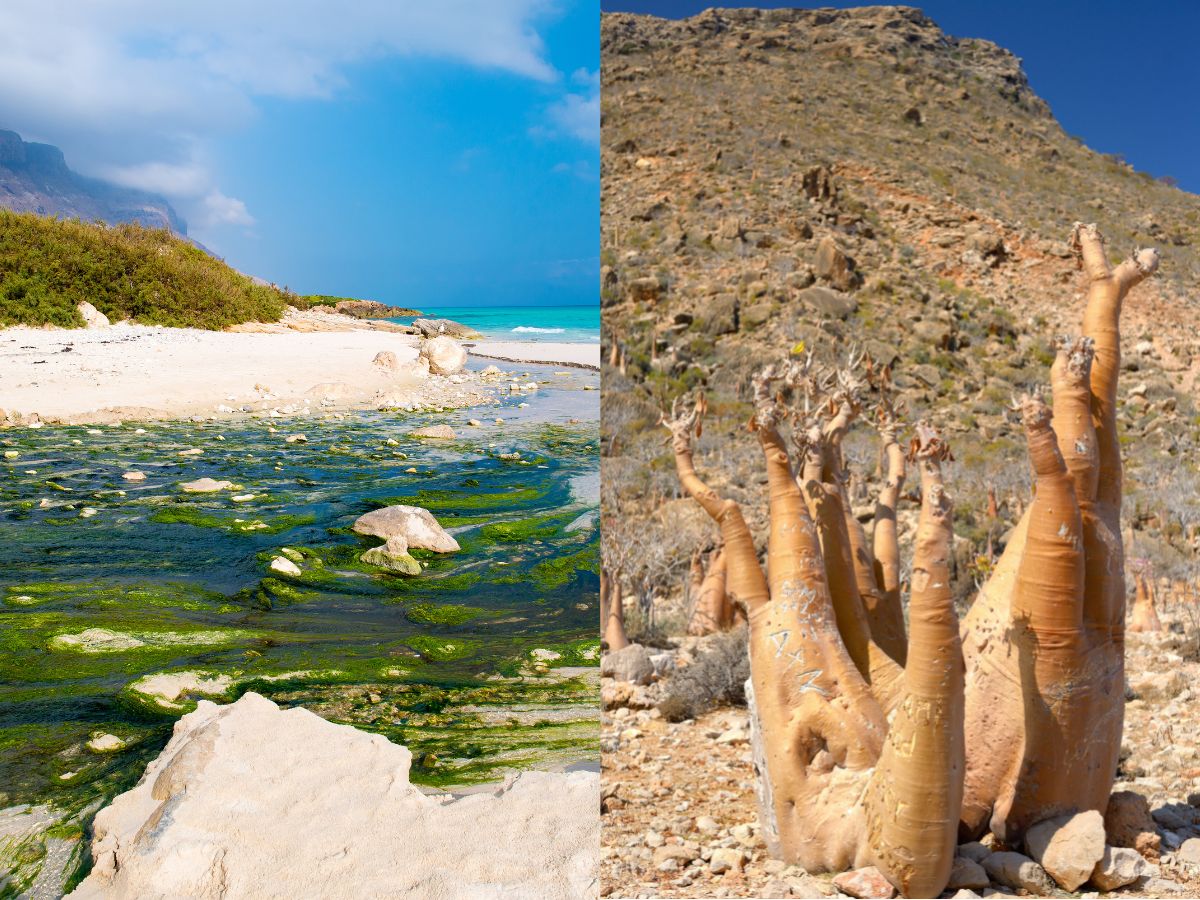 ये है धरती की अजीबोगरीब जगह, दूसरी दुनिया जैसा है नजारा! एलियन्स से कम ...