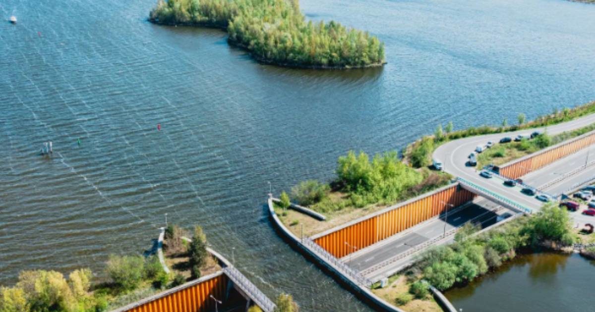 आंखों का भ्रम है या कोई 'चमत्कार'! ब्रिज पर चलते-चलते गायब हो रही हैं ...