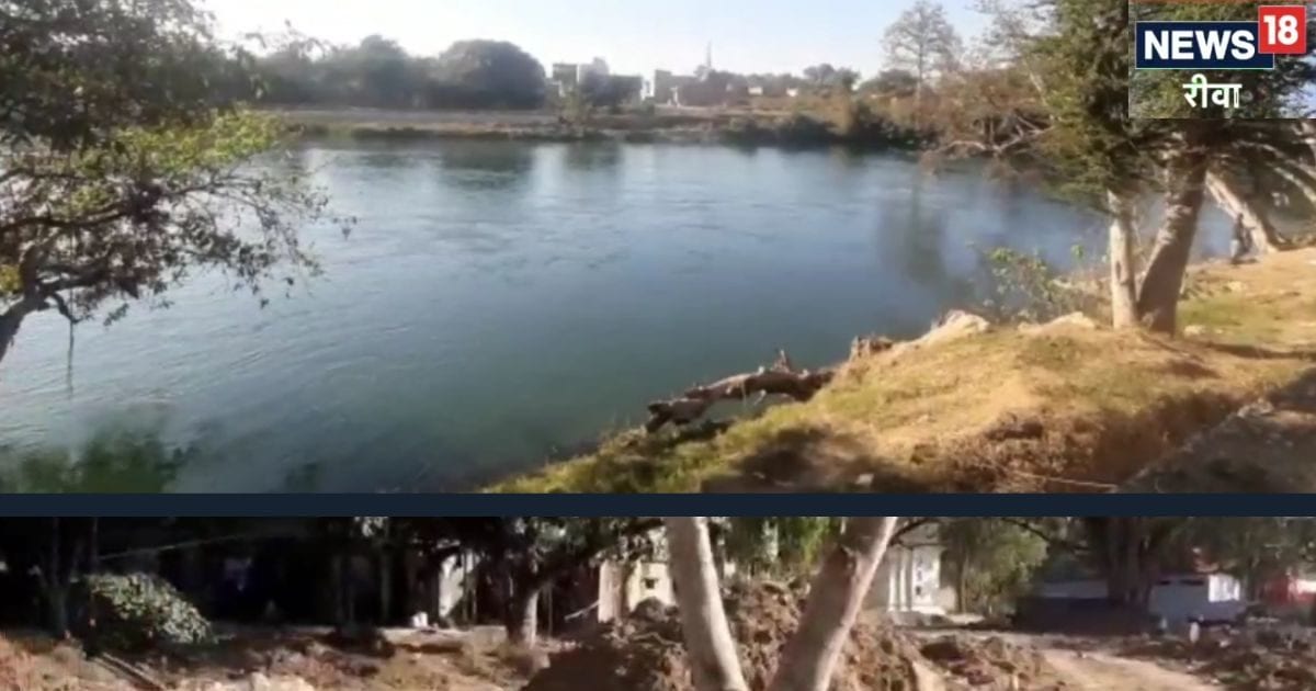 Rewa News: गुजरात की तर्ज पर चल रहा प्रोजेक्ट, देश के इस तीसरे सबसे ...