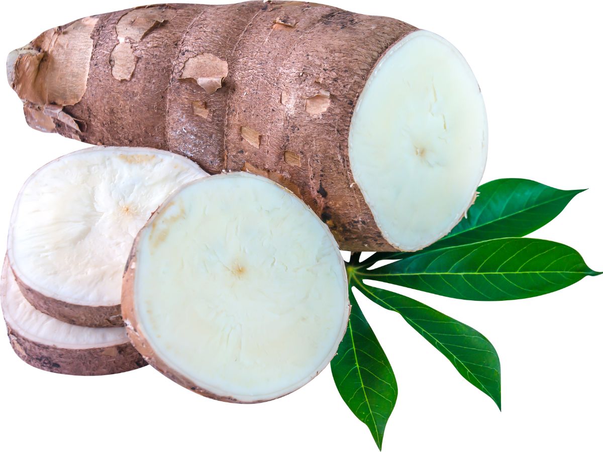 ब्राजील-चीन से निकलकर भारत कैसे पहुंच गया साबूदाना? कभी लाखों लोगों की ...