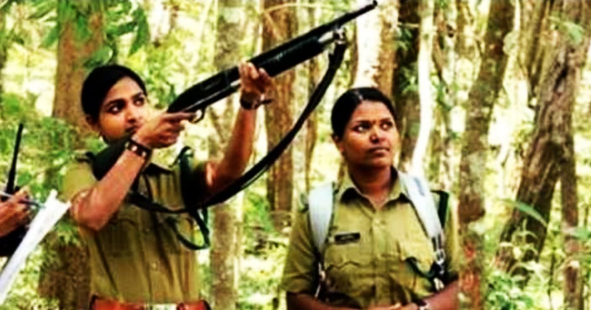 UP Forest inspector : यूपी में कैसे बन सकते हैं वन दरोगा ‌‌? मिलती है ...