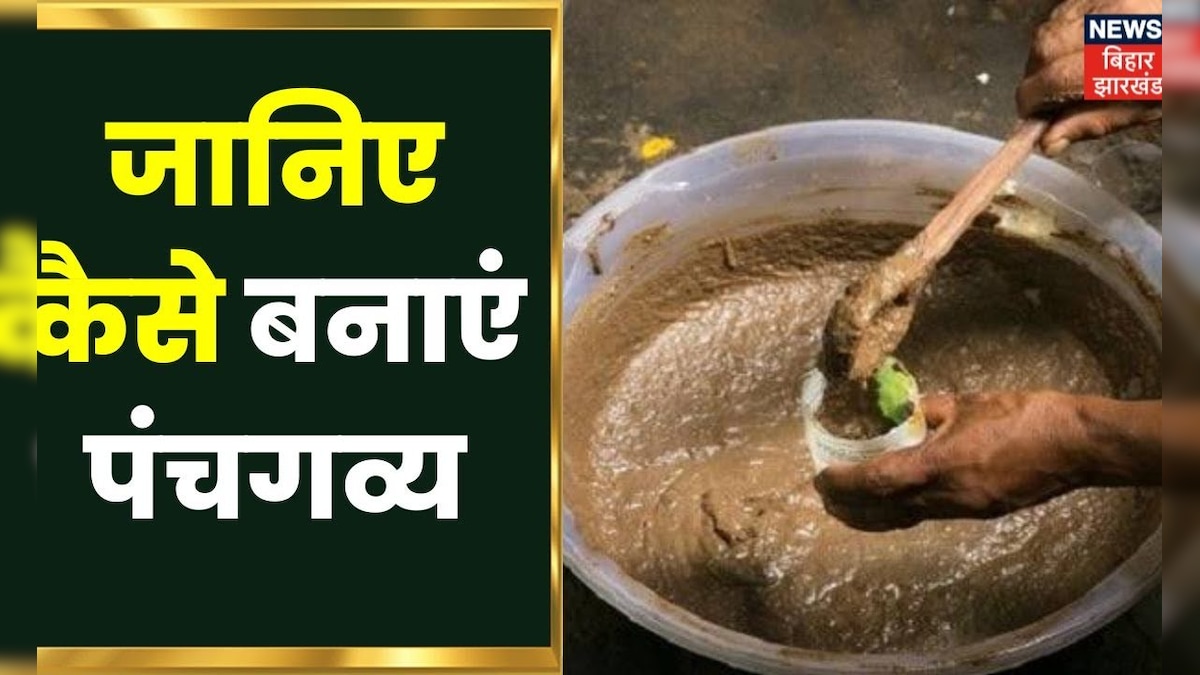 Anndata: पंचगव्य बनाने की विधि, लाभ व उपयोग। Panchagavya Preparation ...