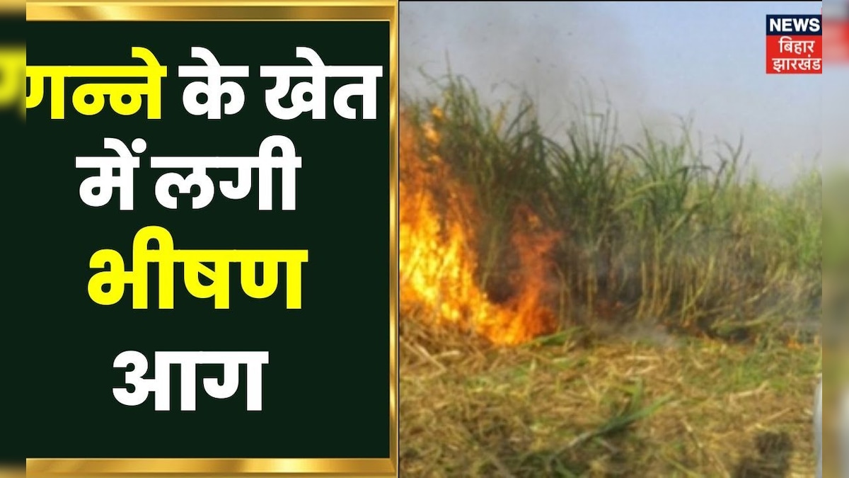 Bagaha News: गन्ने के खेत में लगी भीषण आग, काफी देर बाद पहुंची दमकल की ...