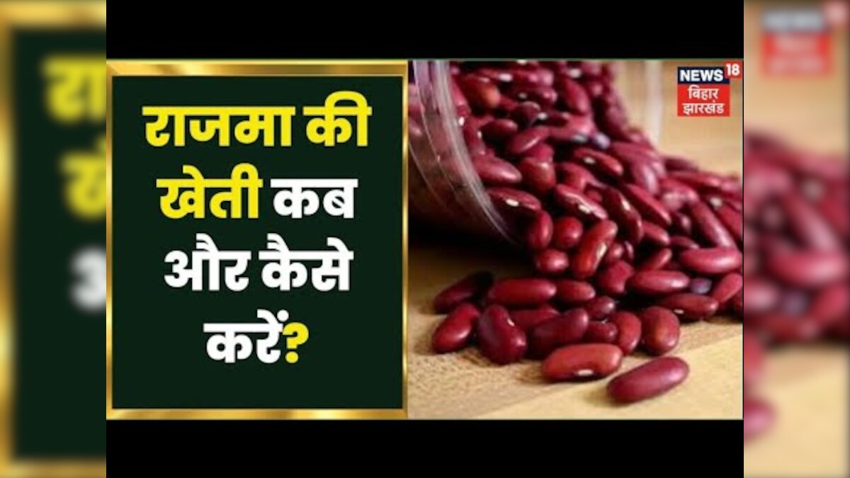 Anndata: राजमा की खेती कैसे करें? यहां जानें | Rajma Ki Kheti in hindi ...