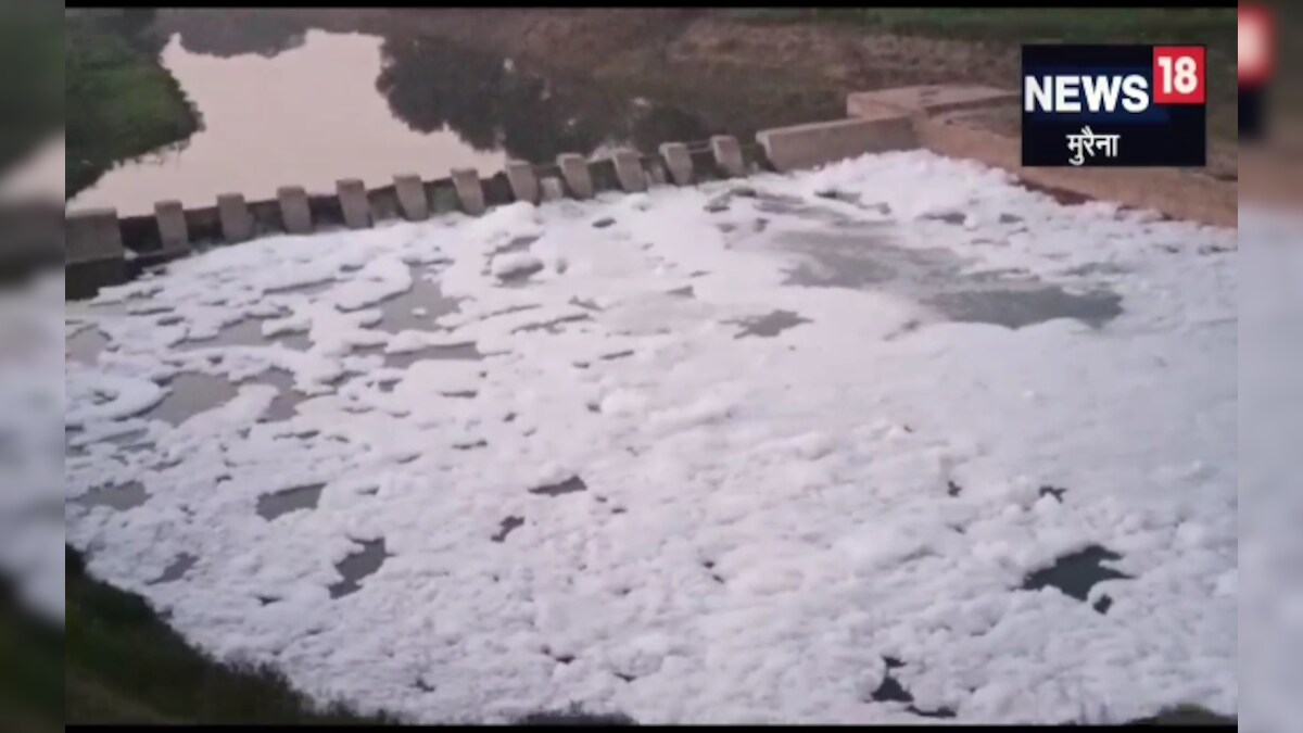 Morena News: क्वारी नदी में बह रहा 'जहर', मछलियों की मौत के बाद दुर्गंध से ग्रामीण परेशान ...