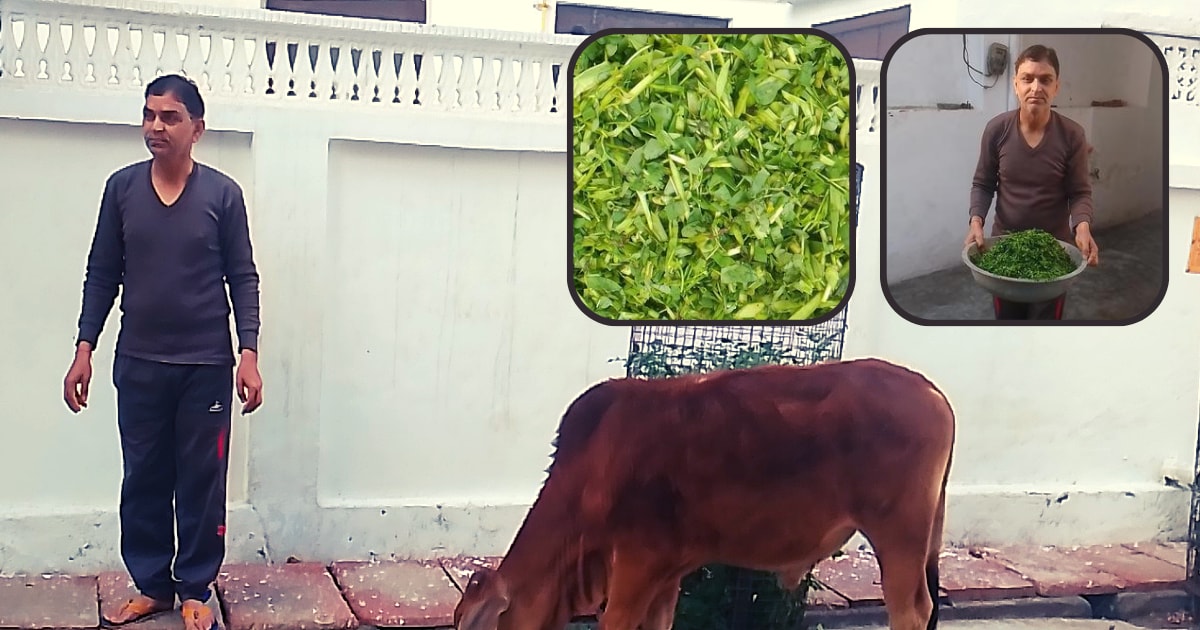 Mukesh has been engaged in the service of animals for 15 years ...