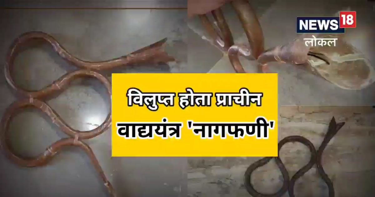 Nagfani is an ancient musical instrument of uttarakhand now extinct ...