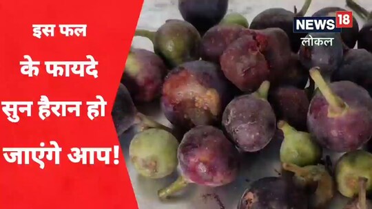 Bedu fruit aka himalayan fig along with taste it is also important for ...