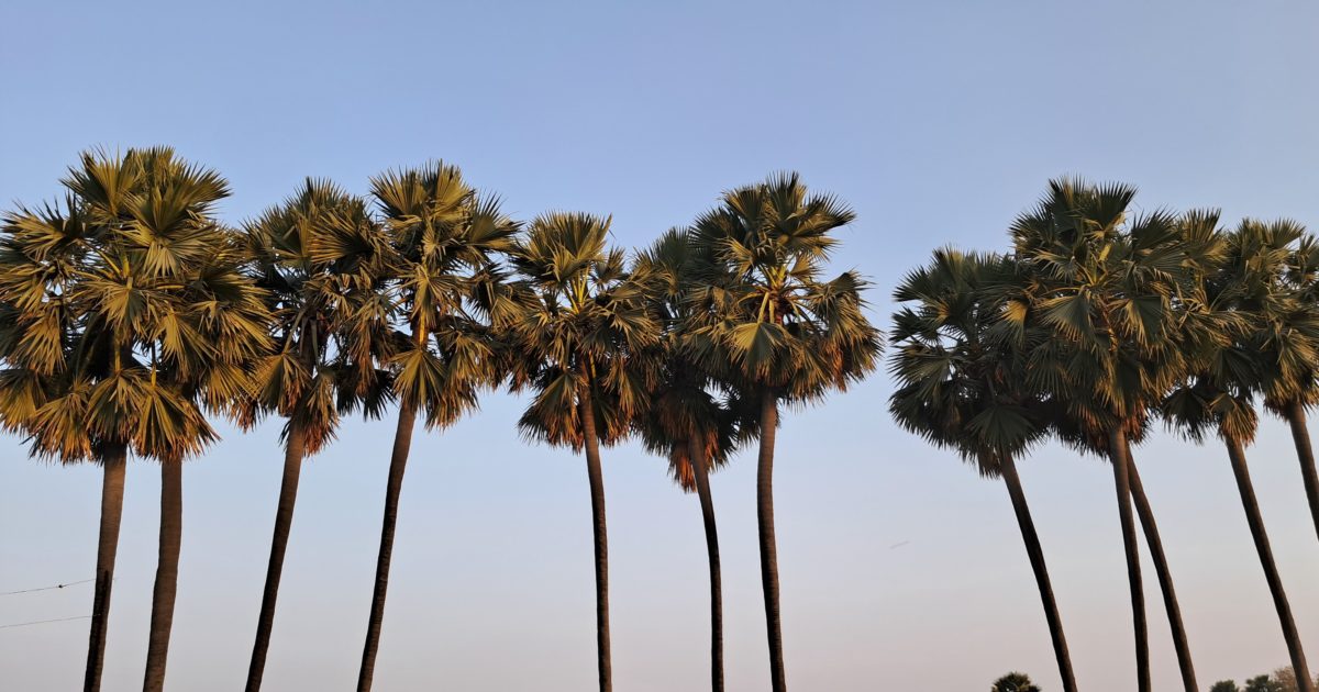 Gaya news siren and hooter will save from lightning this is the preparation of disaster ...