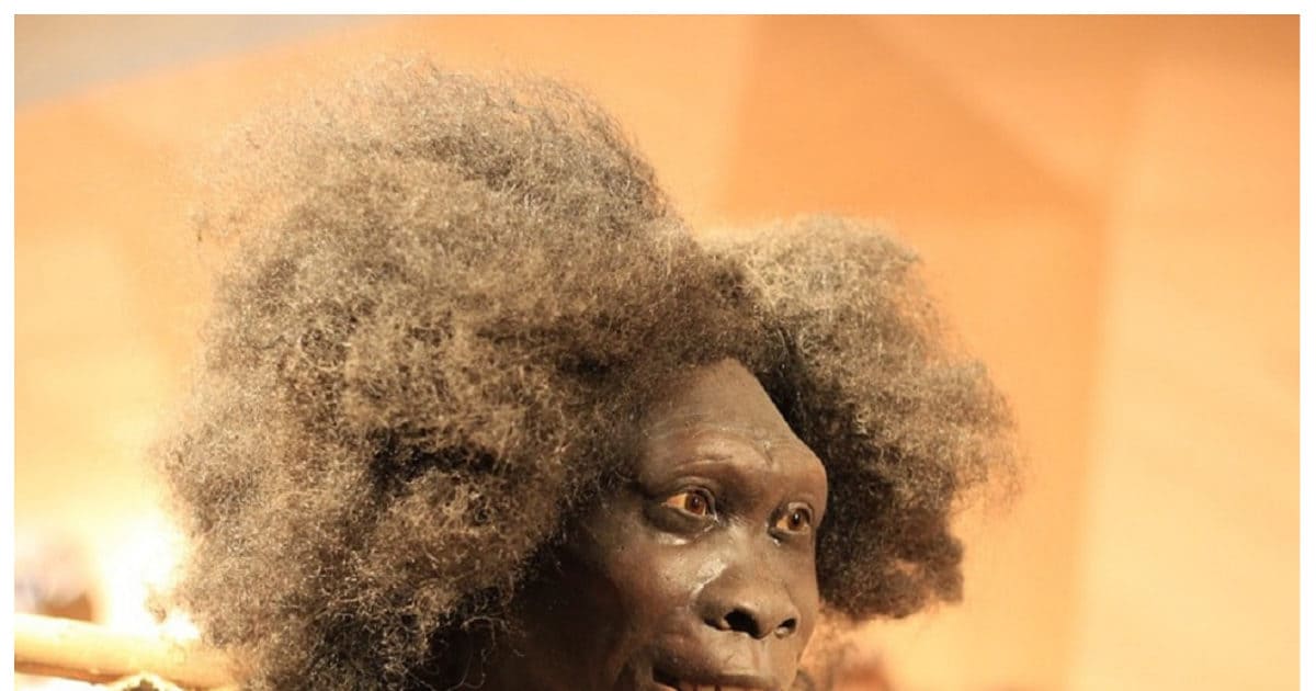 Who were the first humans on earth how did first primitive human reach ...