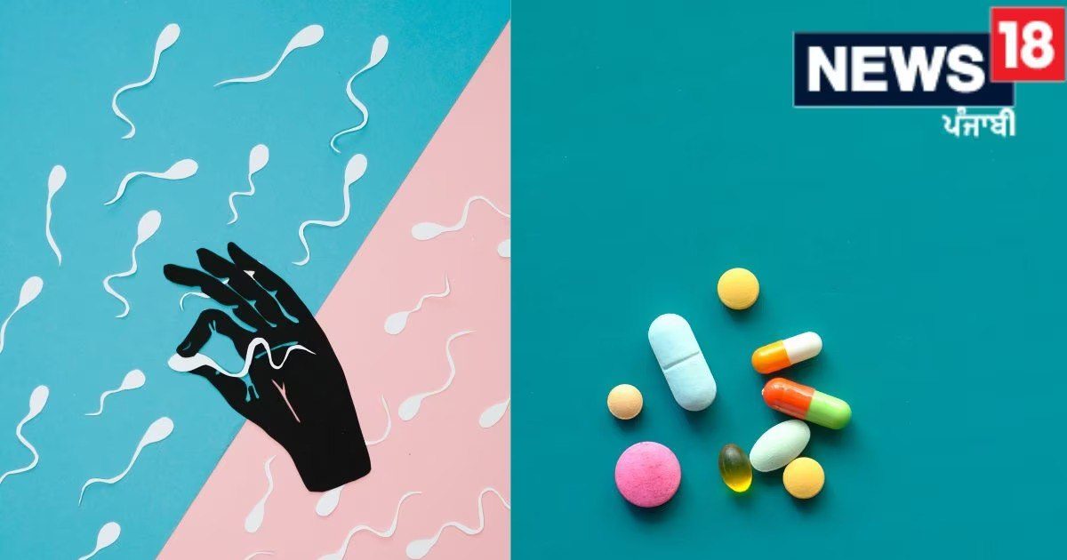 Oral contraceptive pill for man it stops flow of sperm till two and ...