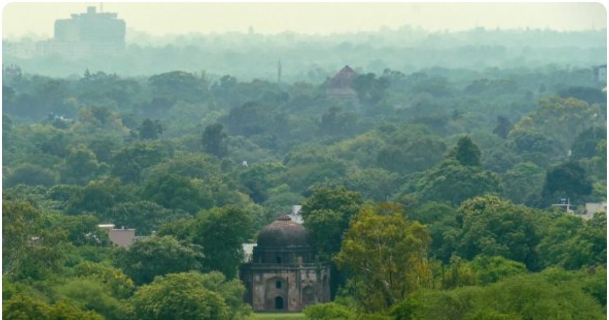 Delhi Ridge Area Work Like lung supplying oxygen to city Supreme Court ...