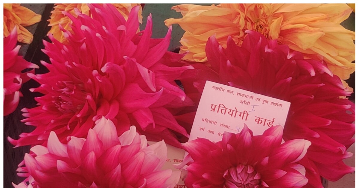 Flower exhibition organised in rani laxmibai central agriculture ...