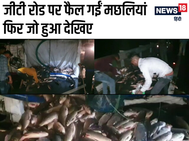 Fish laden truck overturned on gt road dumri police saved fishes - GT ...