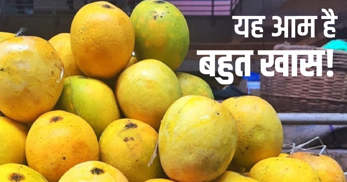 It is mango but very special mancurad mango sold at rs 6000 a dozen in ...