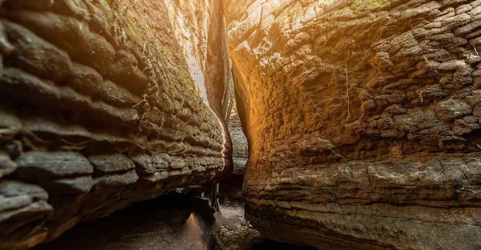 'एनाकोंडा है या...' नागा गुफा की ये तस्वीरें देख छूट जाएंगे पसीने ...