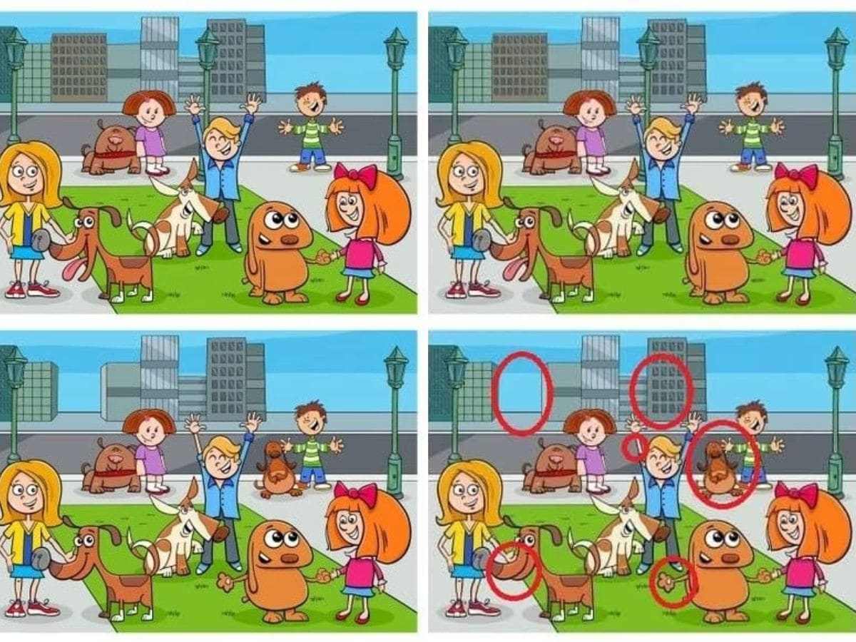 There are 6 differences hidden in 2 identical pictures you have to find ...