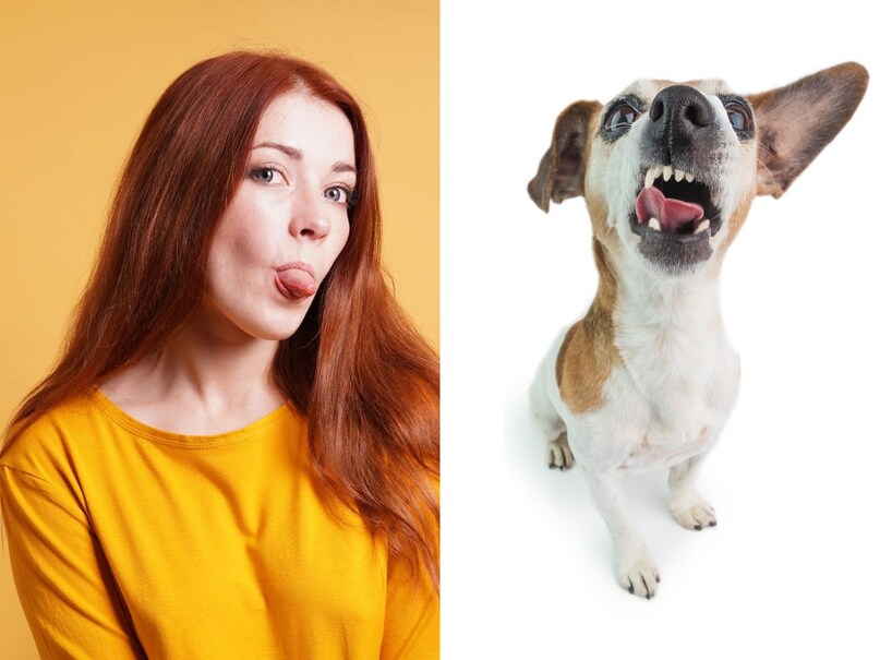 Weird rules around the world top 10 most crazy rules around the world ...