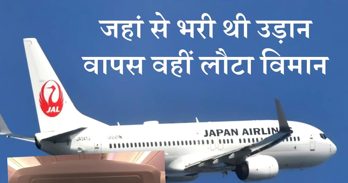 Japani airline jl331 landed on starting point with 300 passanger of 7 hour nightmare - Japan: 7 ...