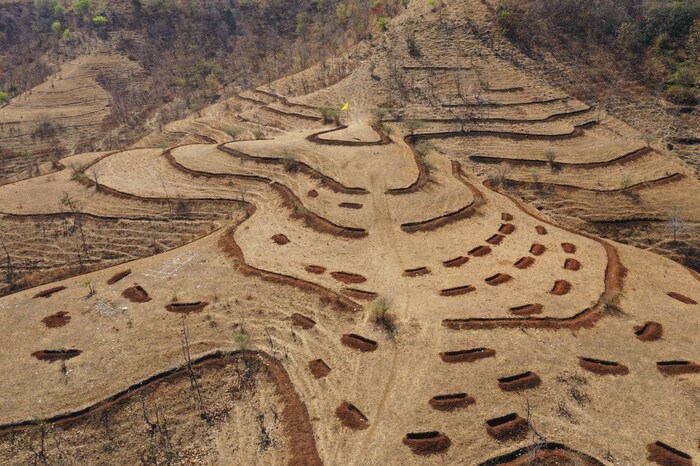 Know all about Halma Jhabua tribal tradition being discussed amid ...