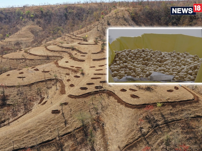 Know all about Halma Jhabua tribal tradition being discussed amid ...