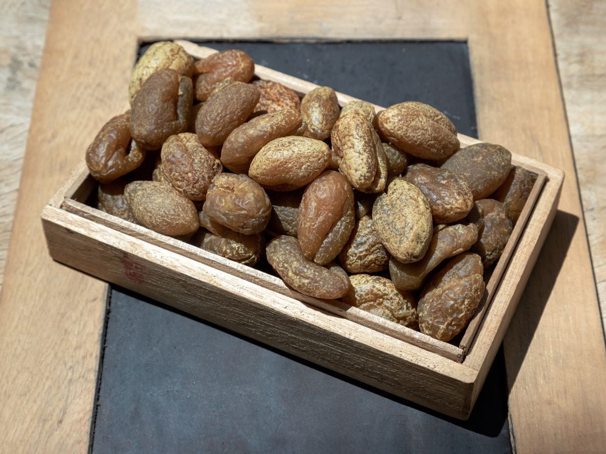 Harad improves digestion system used in trifala lower blood sugar swad ka safarnama - स्वाद का ...