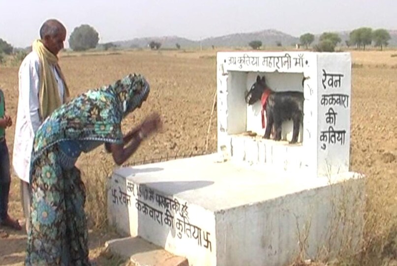 Photos: 'जय कुतिया महारानी मां', देखिए यूपी के इस अनोखे मंदिर की ...