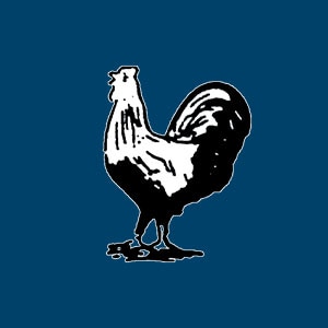 Nagaland Alliance Wise Election Results 2023 Live: Assembly (Vidhan ...