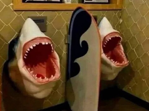 Viral picture of shark open mouth in toilet unique toilet design shark ...