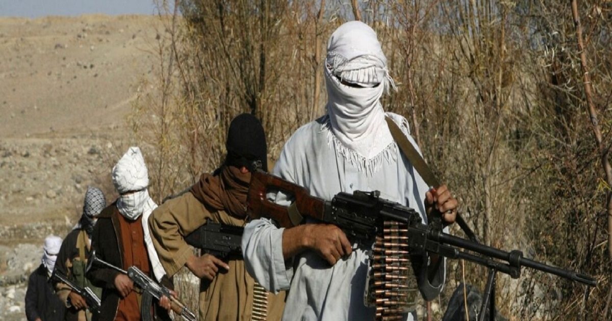Afghanistan taliban to convert us military bases into special economic ...