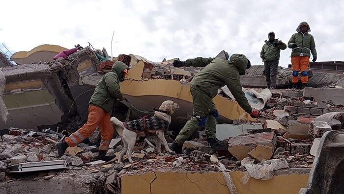 Turkey Syria Earthquake ndrf rescue team trained dog squad operation ...