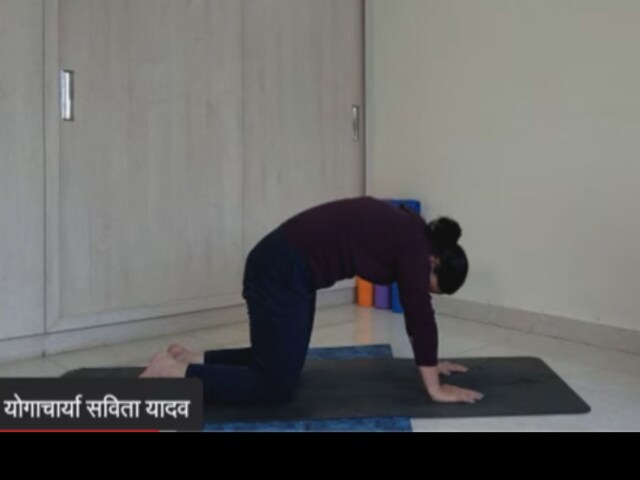 Yoga session with savita yadav simple yogabhyas and asanas for old age ...