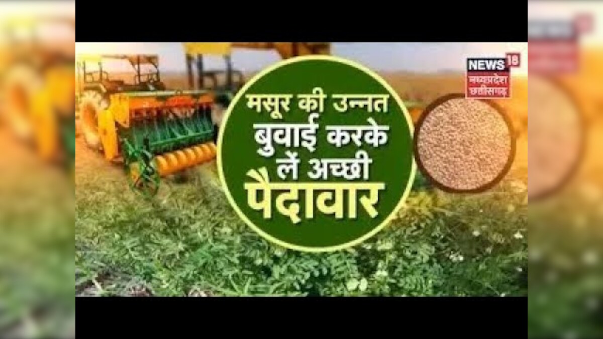 Annadata | मसूर की उन्नत बुवाई करके लें अच्छी पैदावार । Masoor Dal ...