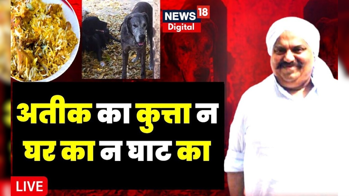 Atiq Ahmed Dogs : अतीक का कुत्ता न घर का न घाट का | Umesh Pal Case ...