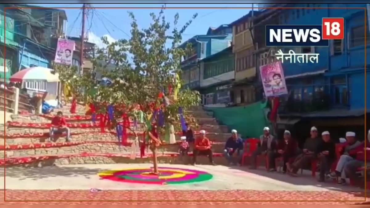 Holi 2023 padam aka god tree in nainital more importance of this tree ...