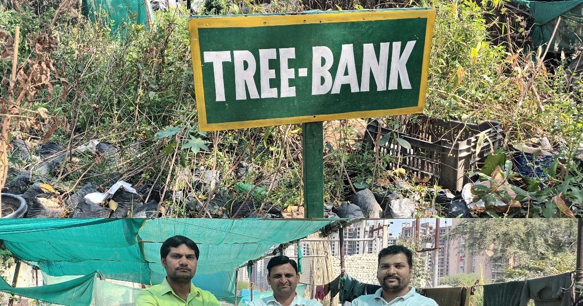 Noida tree bank three friends for save the environment - Air Pollution ...