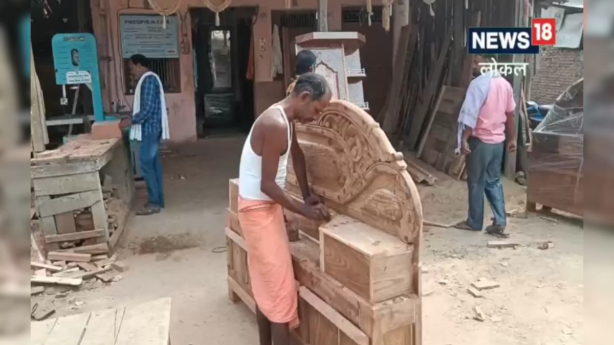 Bihar News: बिहार में ये हैं सबसे महंगी लकड़ियां, फर्नीचर में भी होता ...