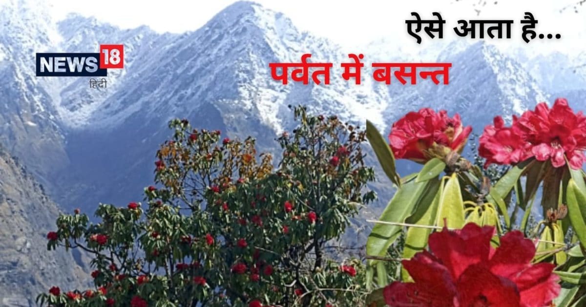 Uttarakhand News: चमोली के इस 'लाल फूल' से कैंसर समेत दूर होती कई ...