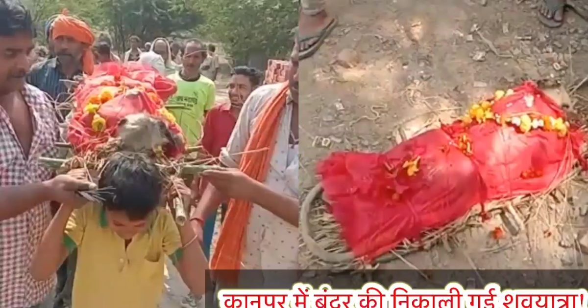 Kanpur News: कानपुर में निकाली गई बंदर की शवयात्रा, हिंदू रीति-रिवाज के ...