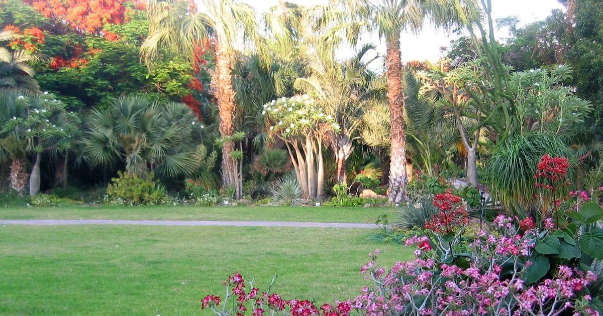 Buddha international circuit to botanical garden 5 amazing peaceful ...