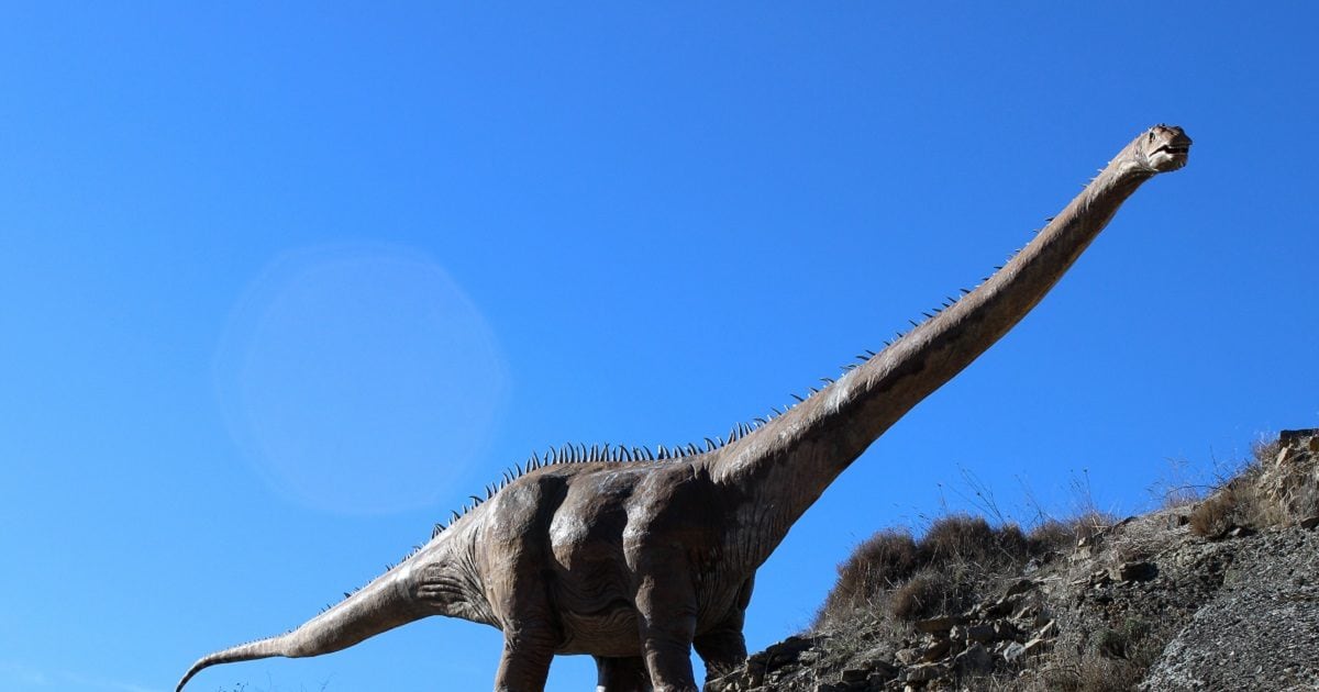 New Dinosaur fossil analysis reveals animal of longest neck ever ...