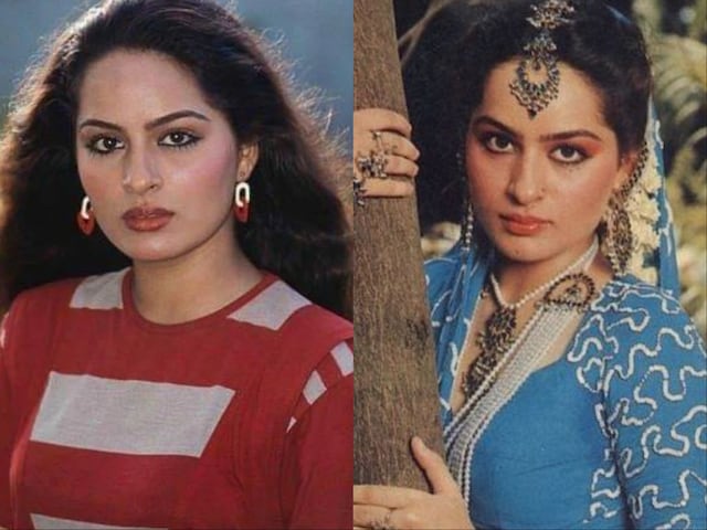 Ram Teri Ganga Maili Divya Rana Aka Salma Manekia Bollywood Debut With