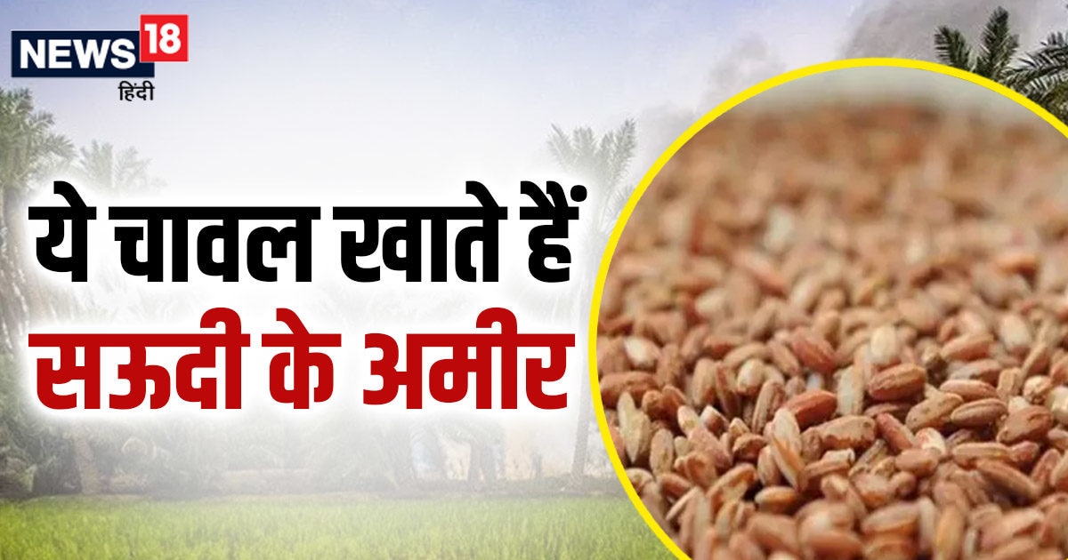 Hesawi hassawi red rice most expensive rice in the world most costliest ...