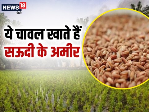 Hesawi hassawi red rice most expensive rice in the world most costliest ...