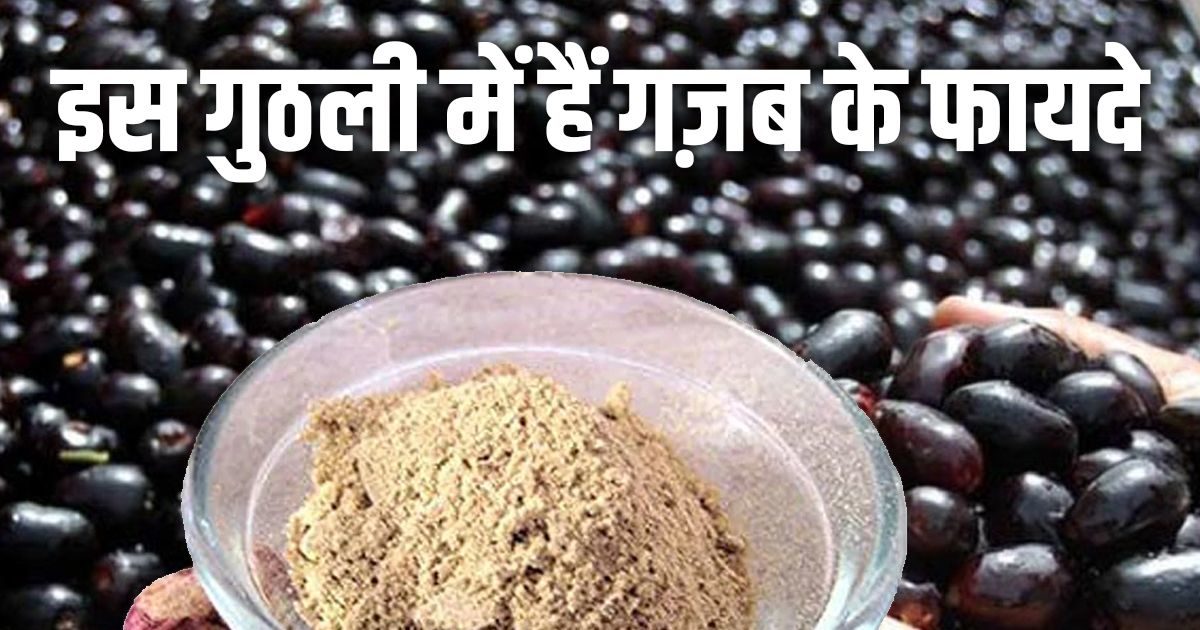 जामुन की गुठली करती है ब्लड शुगर कंट्रोल! डॉक्टर से जानें कितनी मात्रा ...